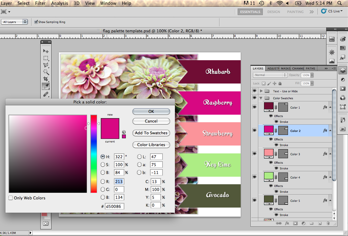 Flag Color Palette Layout for Blogs ~ Website Templates on Creative Market