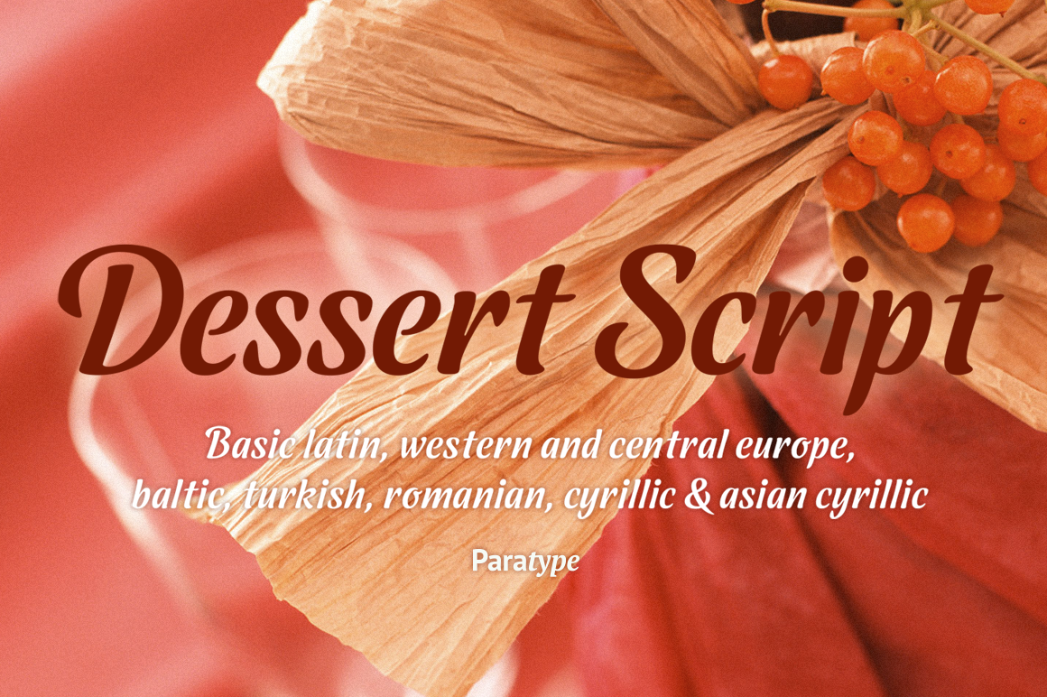 Dessert Script ~ Script Fonts on Creative Market