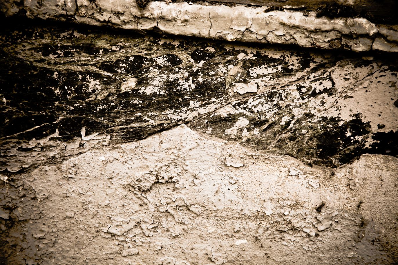 Gritty Wall Pack 01 ~ Textures on Creative Market