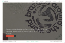 Indigo - Multi-Purpose Theme ~ WordPress Non-Profit Themes on Creative ...