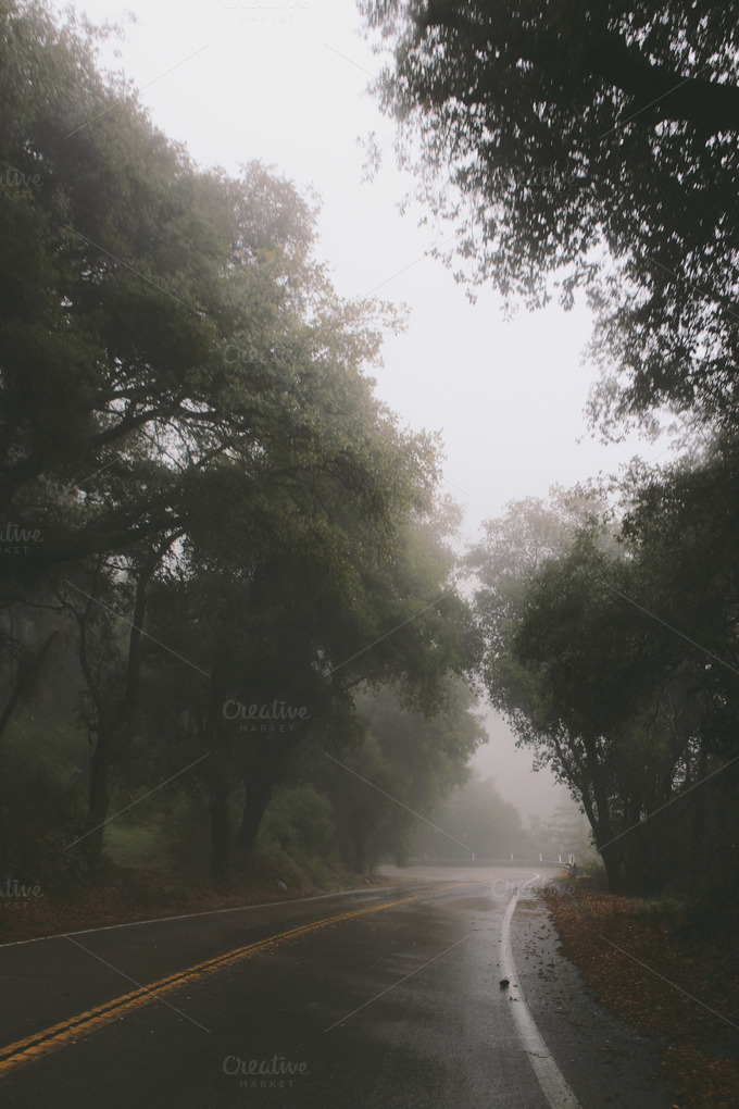 10 Tips for Shooting Great Photos in Low Light ~ Creative Market Blog