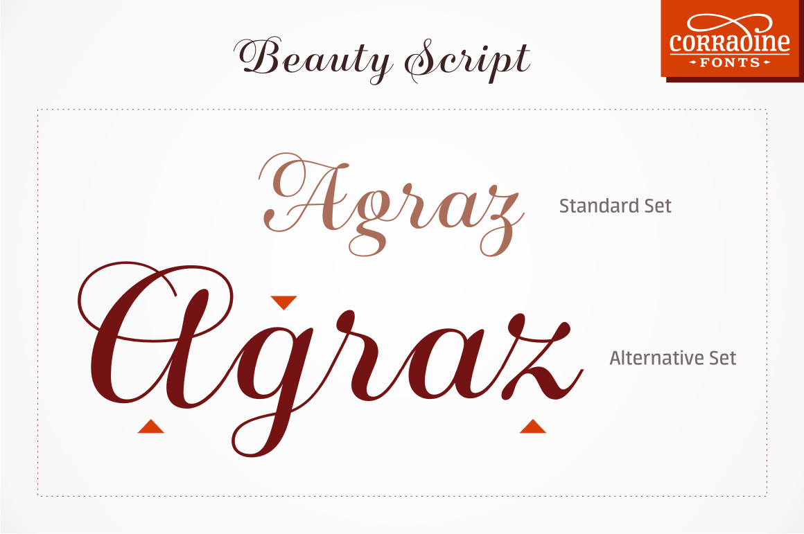 Beauty Script ~ Script Fonts on Creative Market
