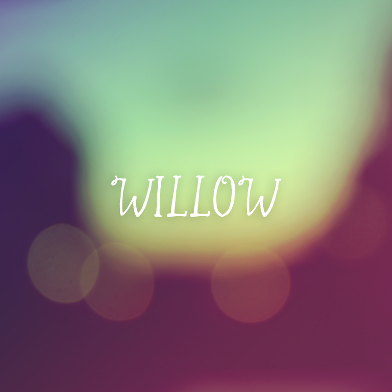 Willow ~ Fonts on Creative Market