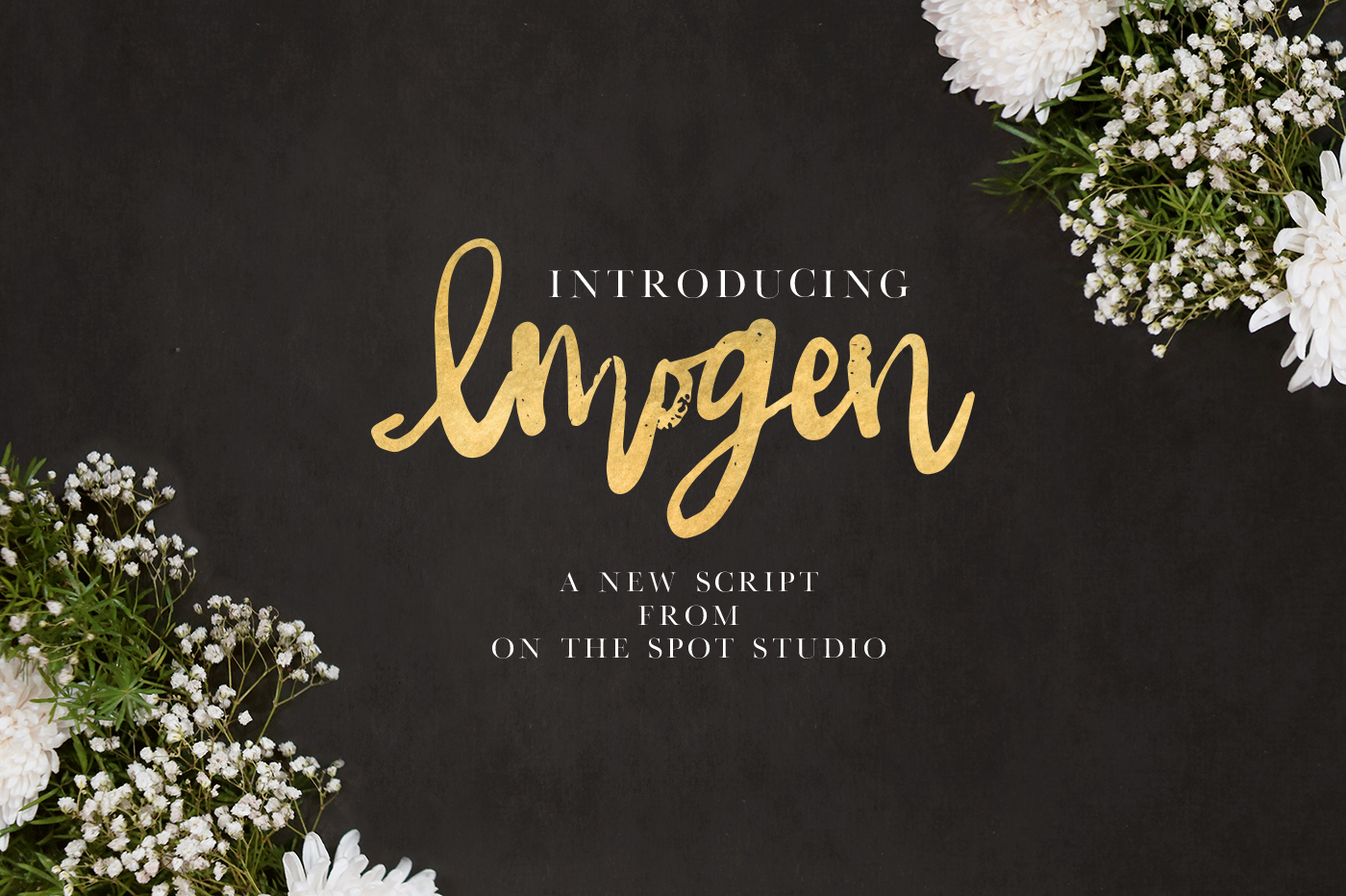 Imogen ~ Script Fonts on Creative Market