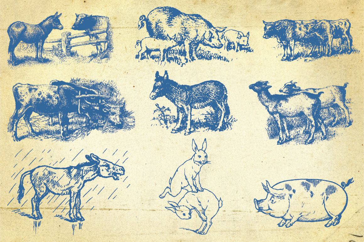 38 Hand Drawn Farm Animals ~ Illustrations on Creative Market