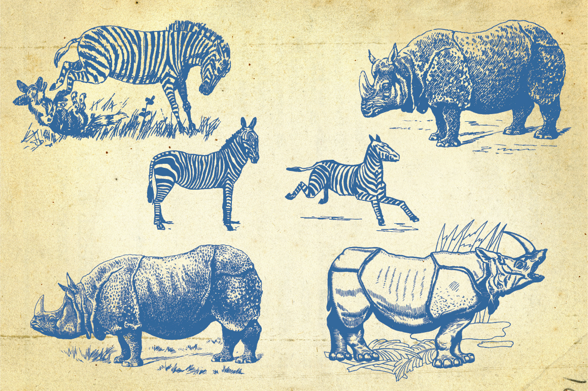 26 Hand Drawn Wild Animals ~ Illustrations on Creative Market