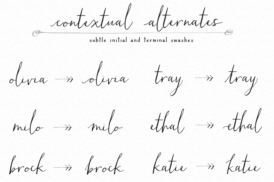 Hollyhock - A Messy Calligraphy Font ~ Script Fonts on Creative Market