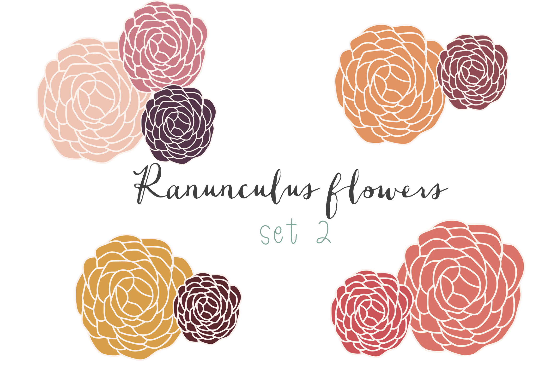 Ranunculus hand drawn clip art set 2 ~ Illustrations on Creative Market