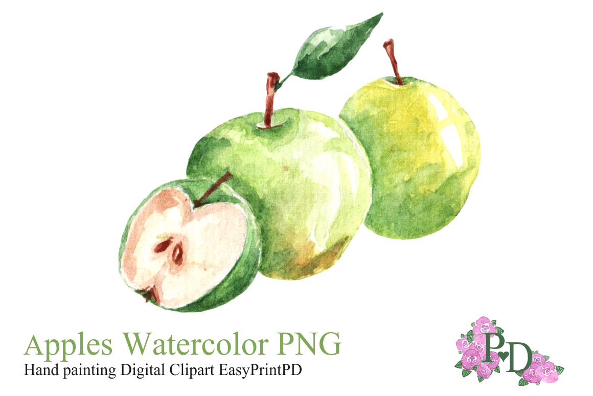 Green Apple Watercolor Clipart PNG ~ Illustrations on Creative Market