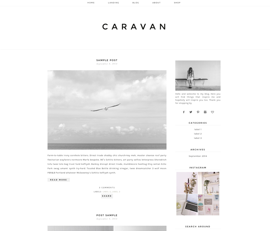 Responsive WP Theme - Caravan ~ WordPress Minimal Themes on Creative Market