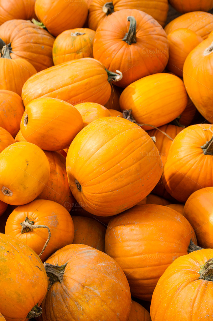Orange pumpkins in a display ~ Holiday Photos on Creative Market