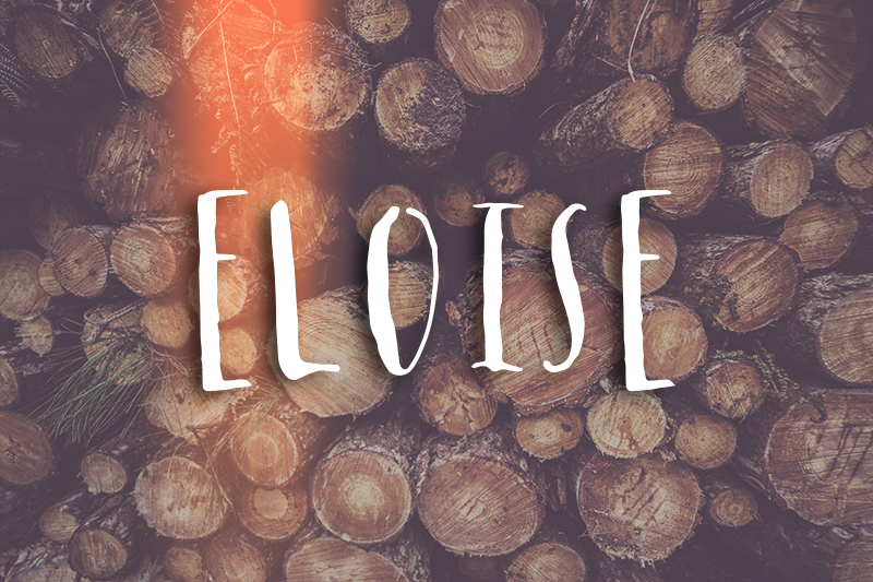 Eloise ~ Display Fonts on Creative Market