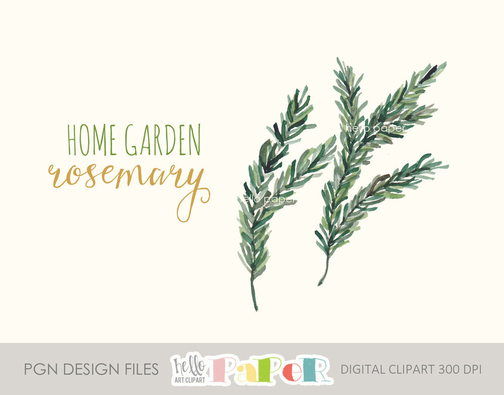 1000+ images about Rosemary Labels Inspiration Board on Pinterest ...