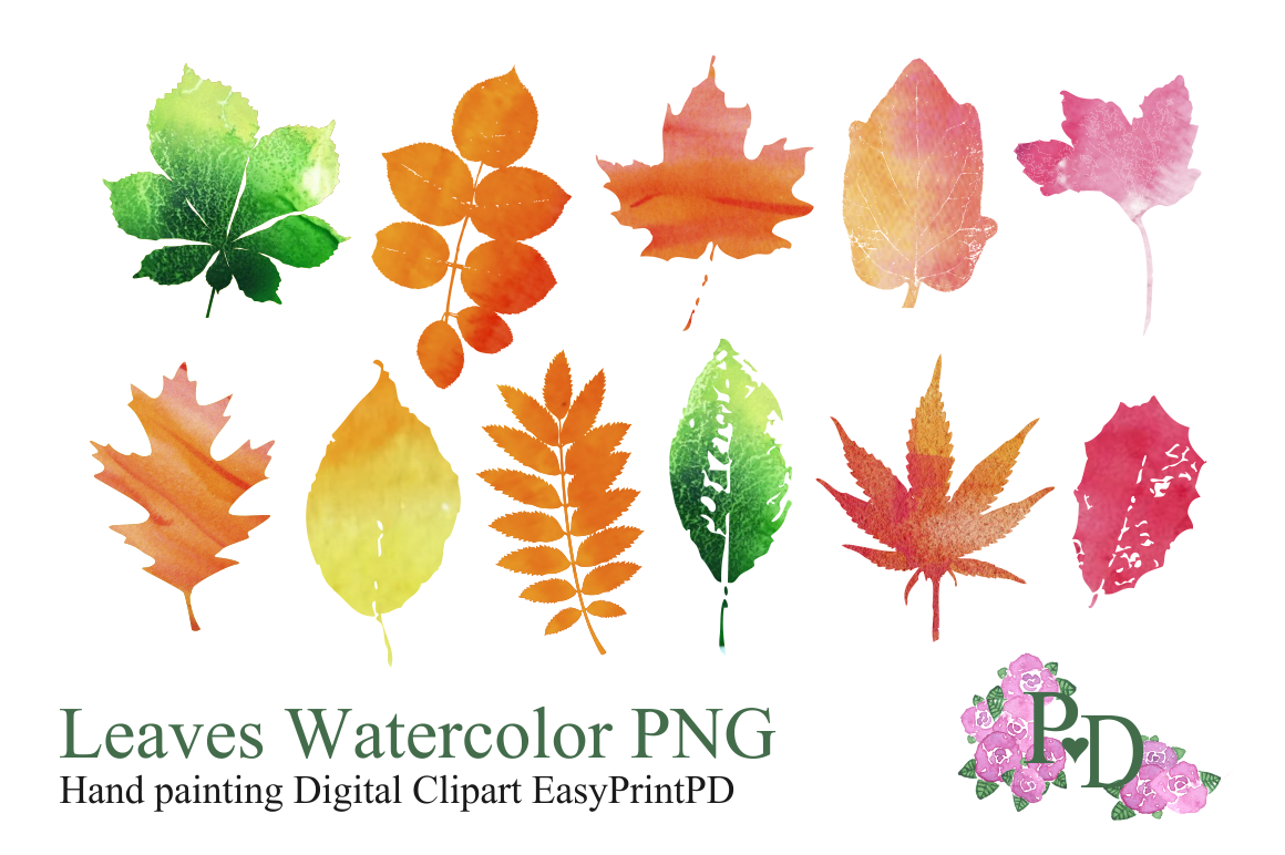 Autumn Leaves Watercolor ~ Objects on Creative Market