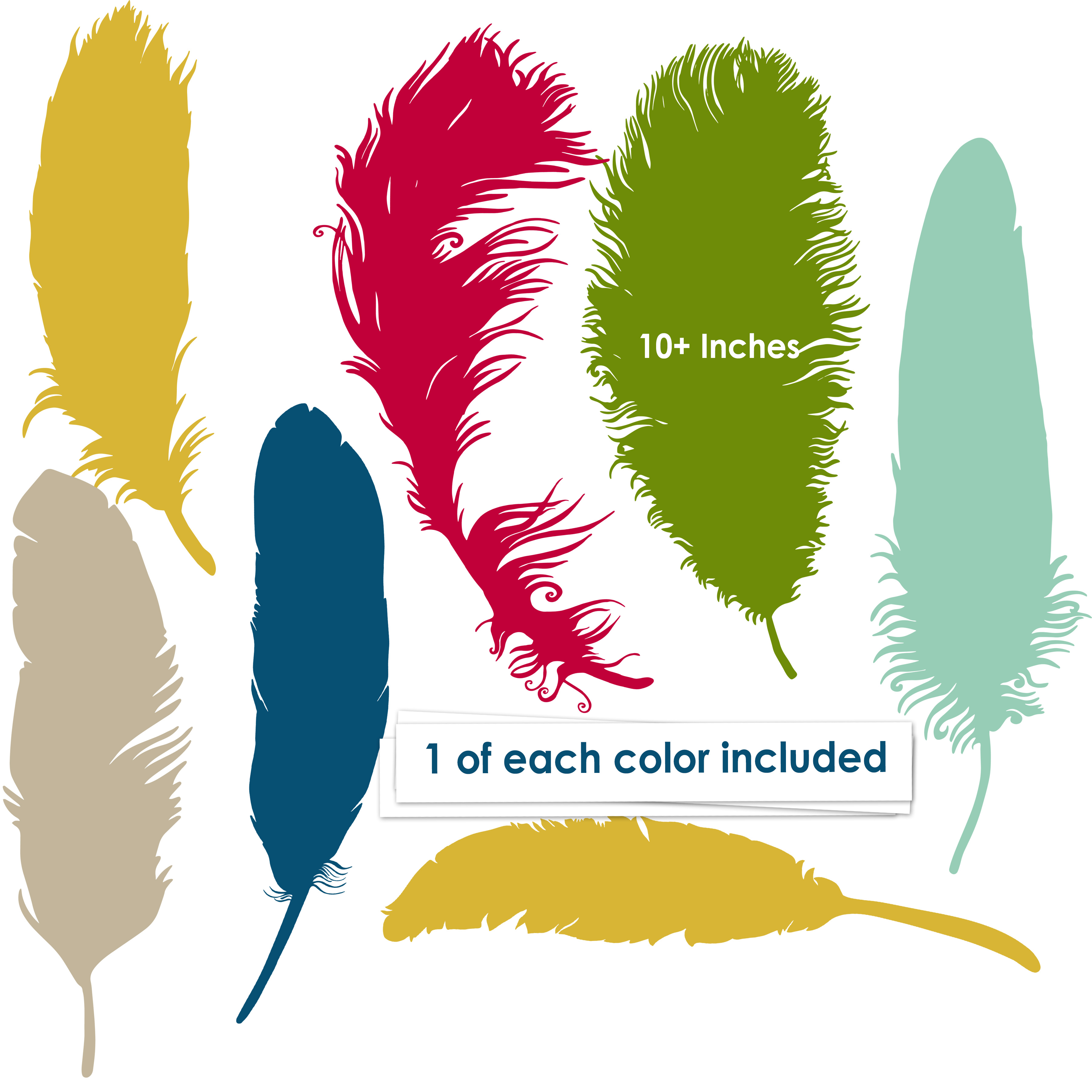 Colorful Feather Clip Art