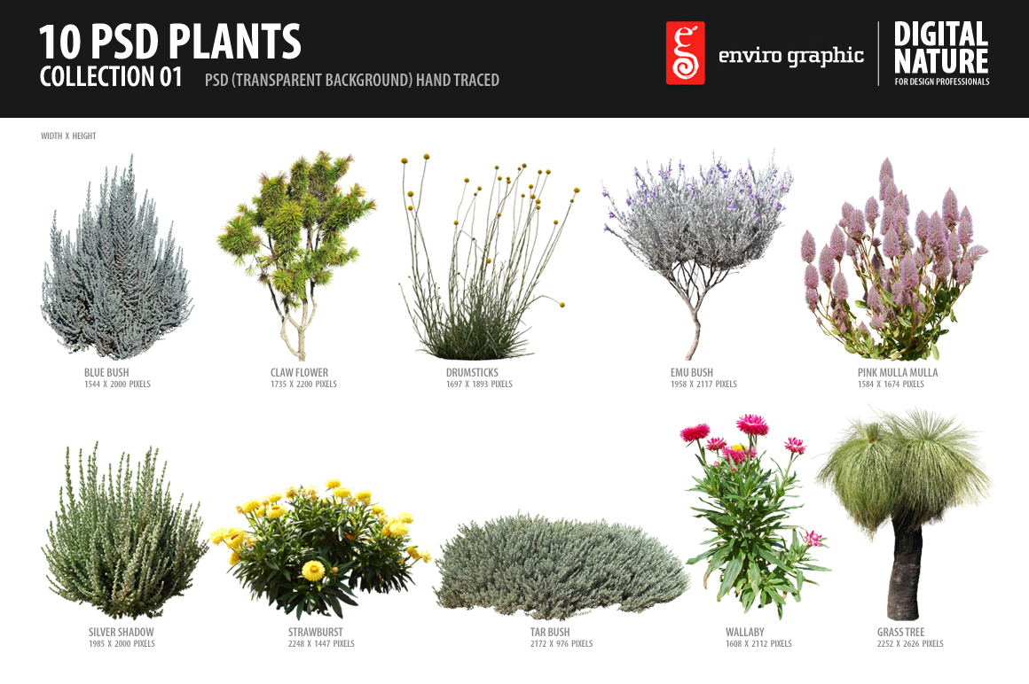 10 PSD Plants Collection 1 ~ Objects on Creative Market