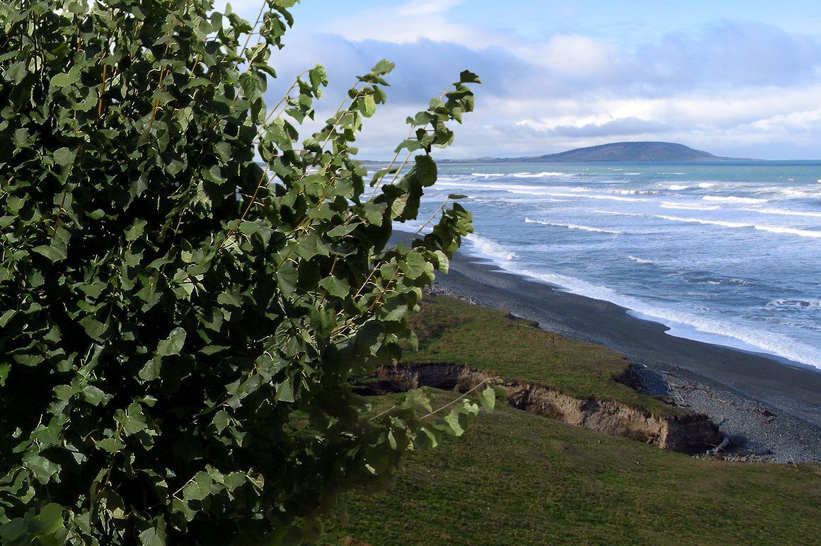 10 PSD Trees Collection 1 ~ Objects on Creative Market