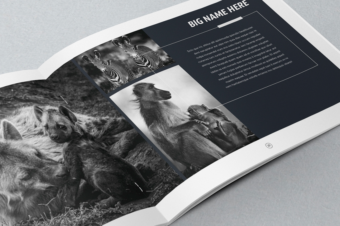 Elegant Photo Album A4 + Letter ~ Brochure Templates on Creative Market