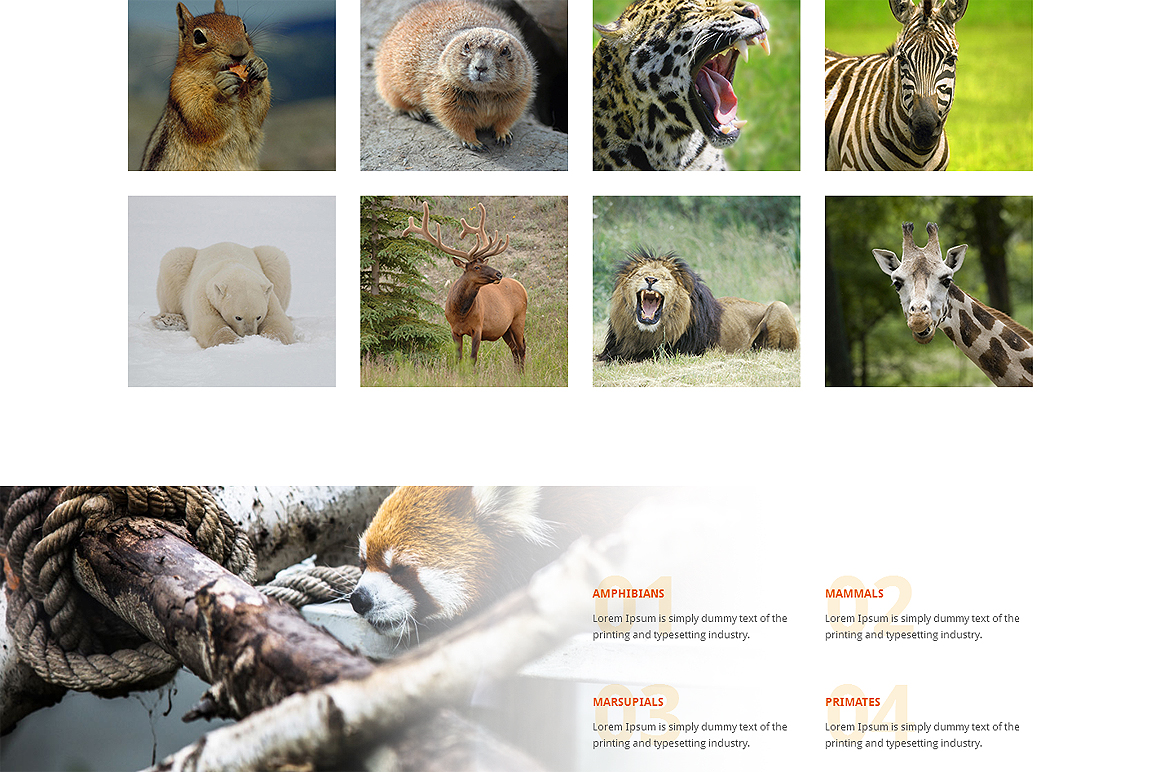 Zoo Responsive One Page Theme ~ HTML/CSS Themes on Creative Market