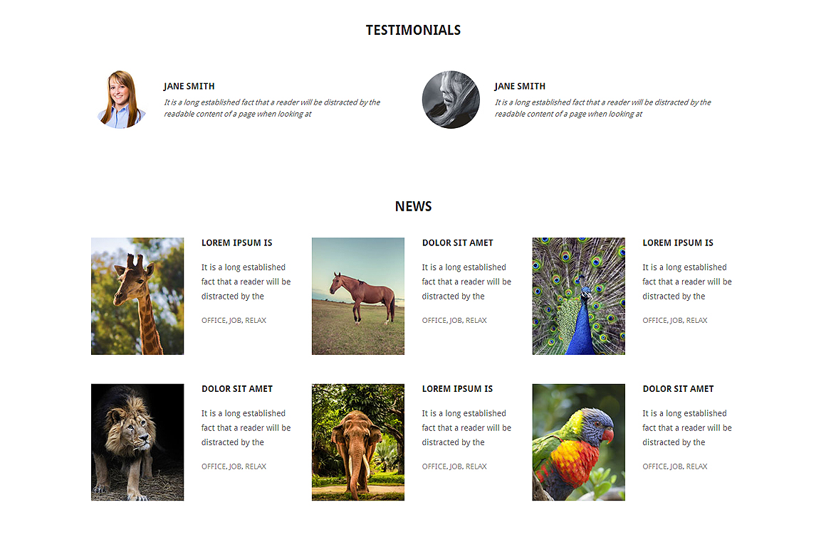 Zoo Responsive One Page Theme ~ HTML/CSS Themes on Creative Market