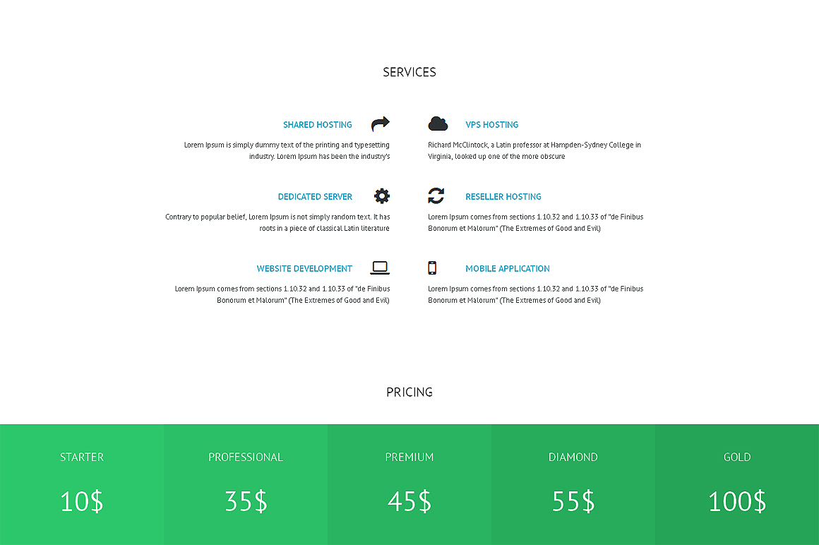 Hosting Responsive One Page Theme ~ Website Templates on Creative Market