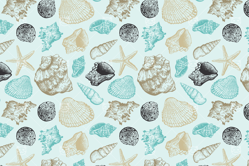 Sea Shells Pattern ~ Patterns on Creative Market