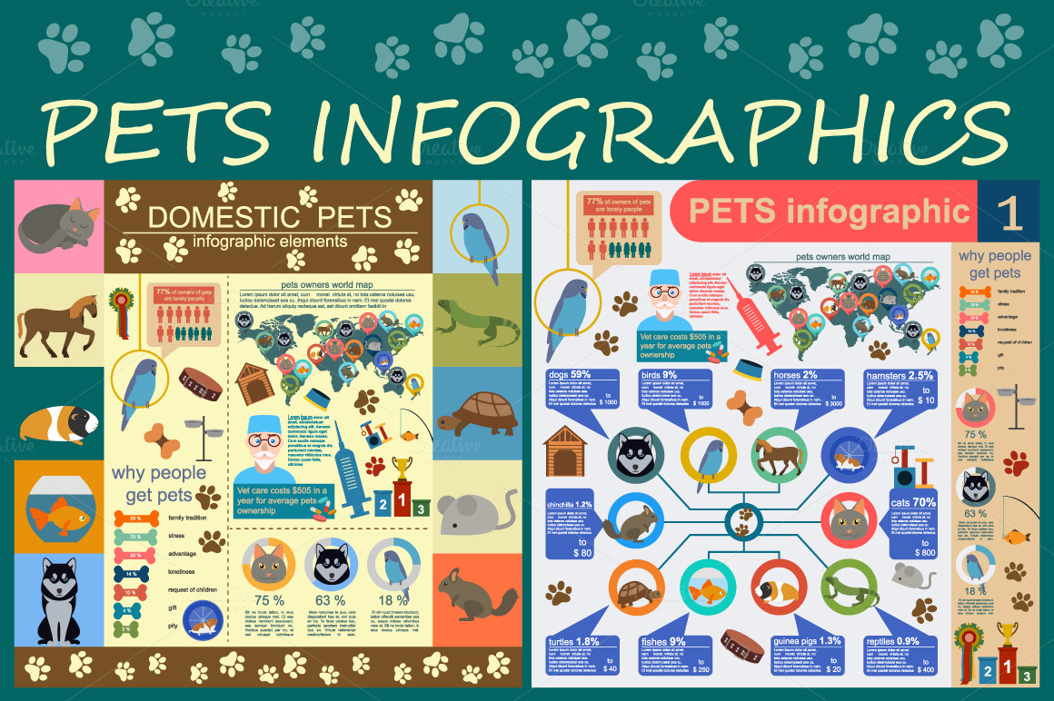 Pets and veterinary infographic ~ Illustrations on Creative Market