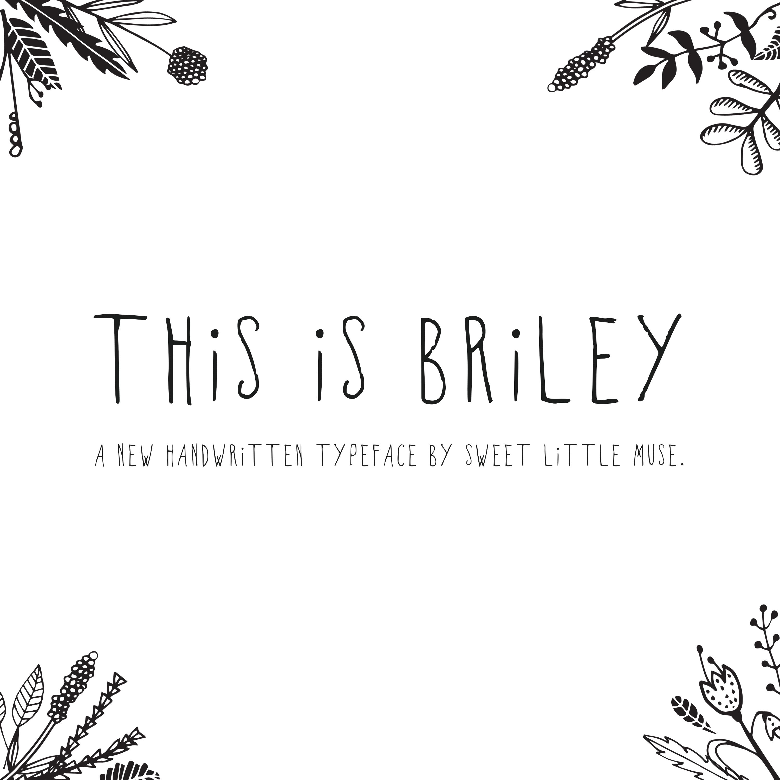 Briley Typeface ~ Sans Serif Fonts on Creative Market
