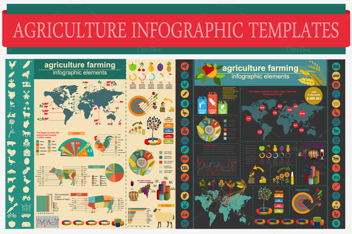 Agriculture infographic templates ~ Illustrations on Creative Market
