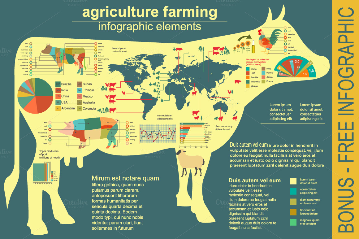 Agriculture infographic templates ~ Illustrations on Creative Market