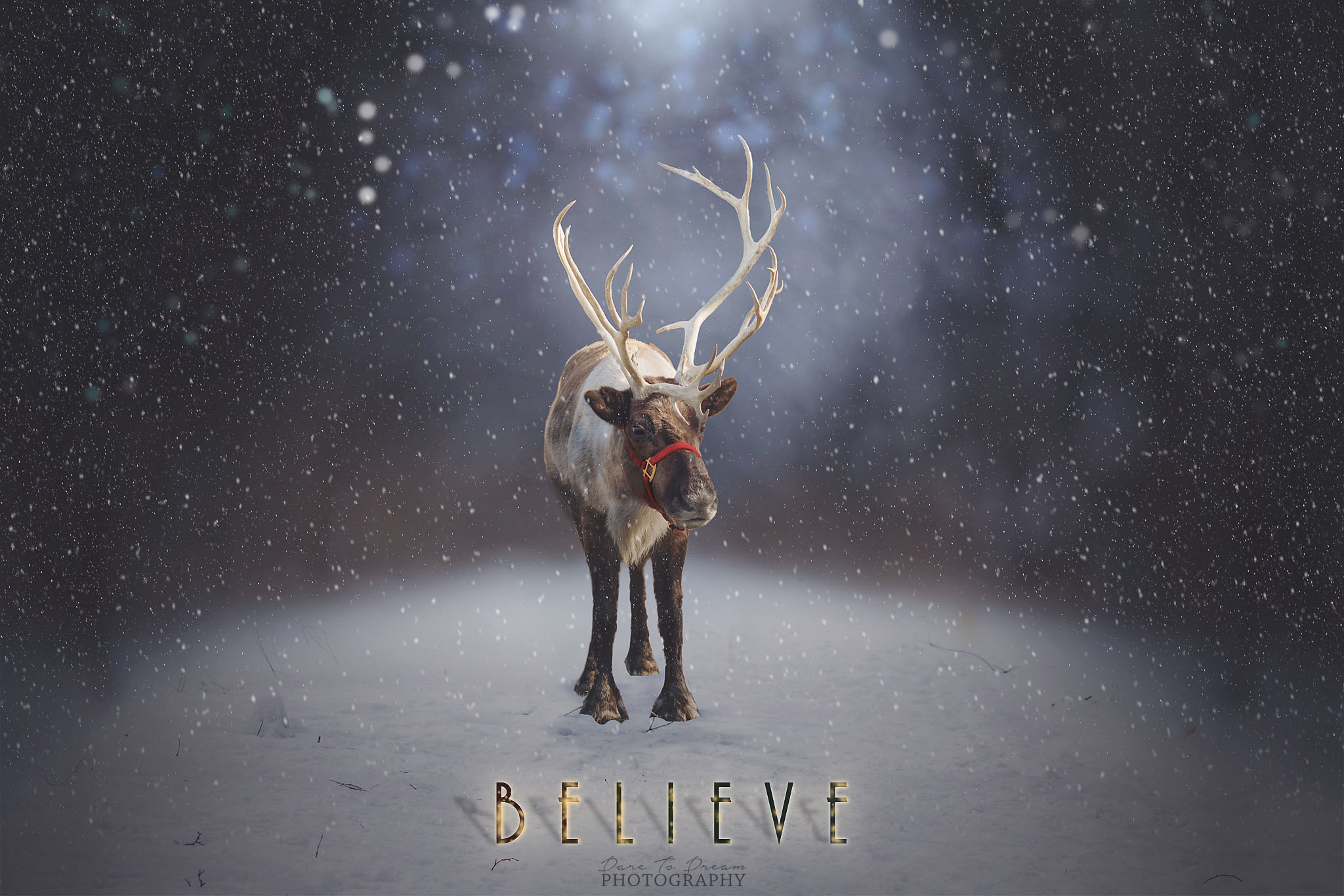 10 - PNG -Reindeer Overlays ~ Objects on Creative Market