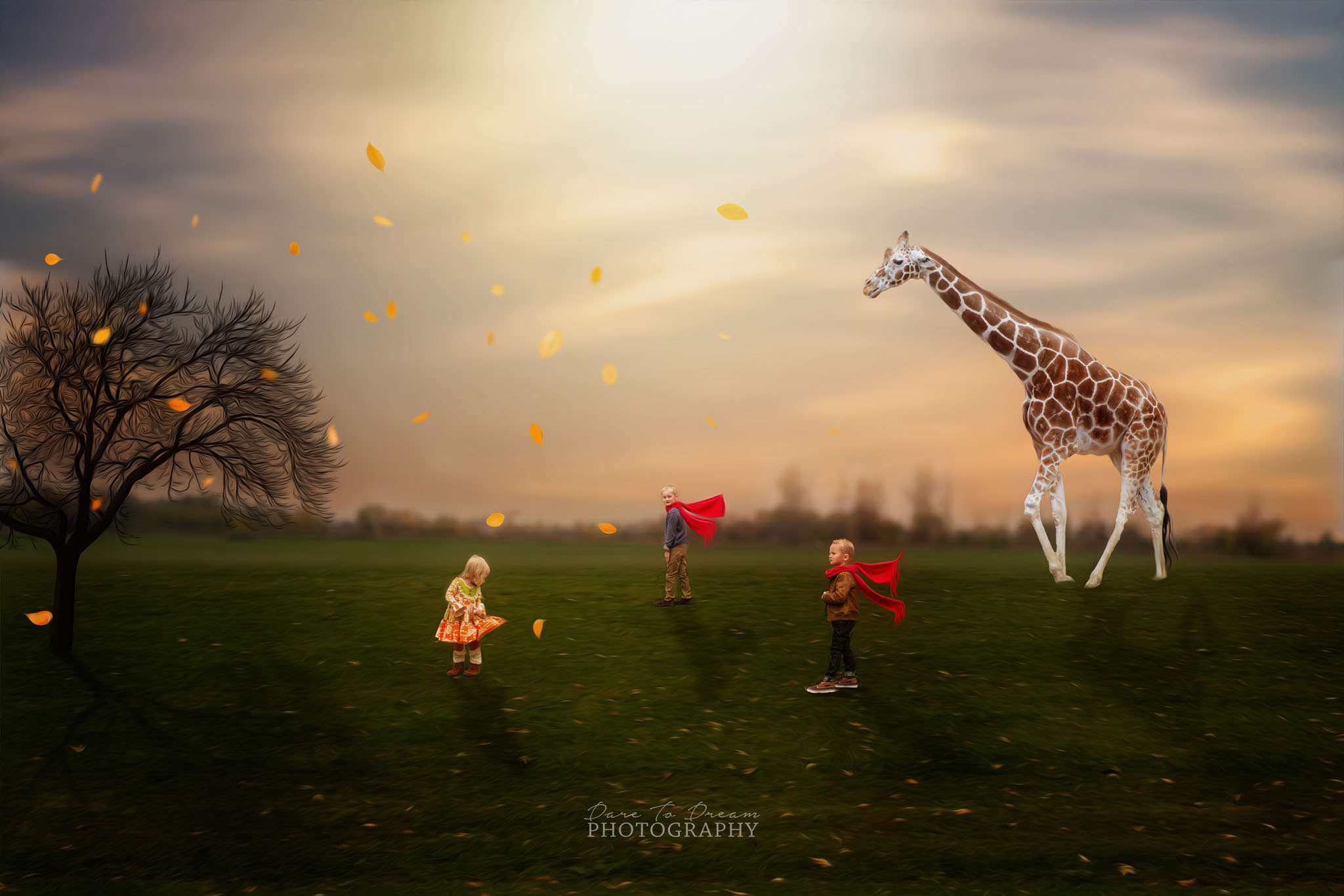 26 - PNG - Zoo Animal Overlays ~ Objects on Creative Market