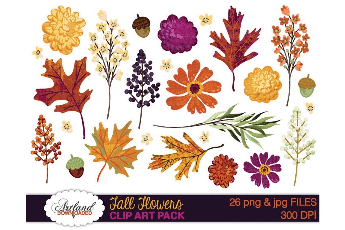 Fall Flowers Clipart Pack ~ Illustrations on Creative Market