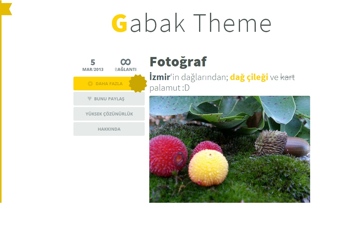 Gabak - Responsive Tumblr Theme ~ Tumblr Themes on Creative Market