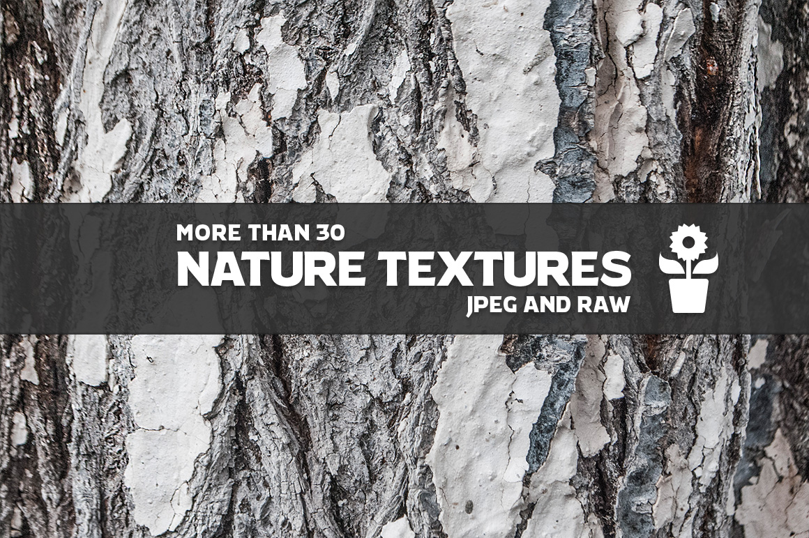 30+ Nature Textures ~ Textures on Creative Market
