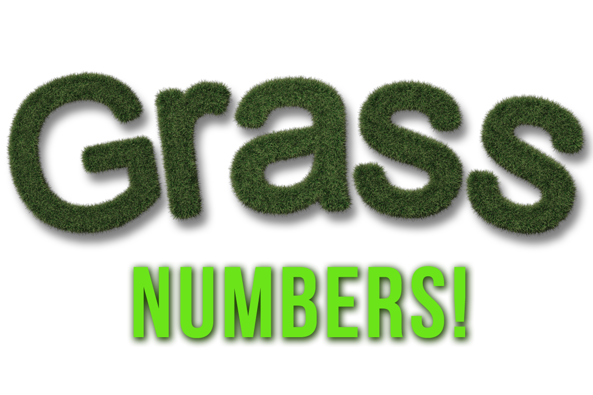 Grass Numbers ~ Objects on Creative Market