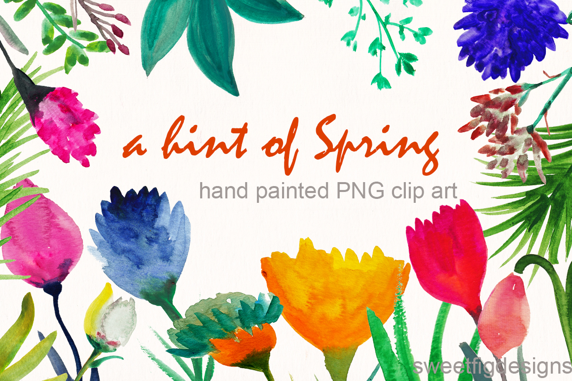 hand painted spring flowers ~ Illustrations on Creative Market