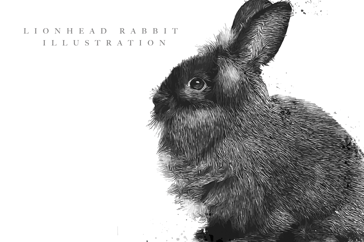 Lionhead Rabbit Illustration ~ Illustrations on Creative Market
