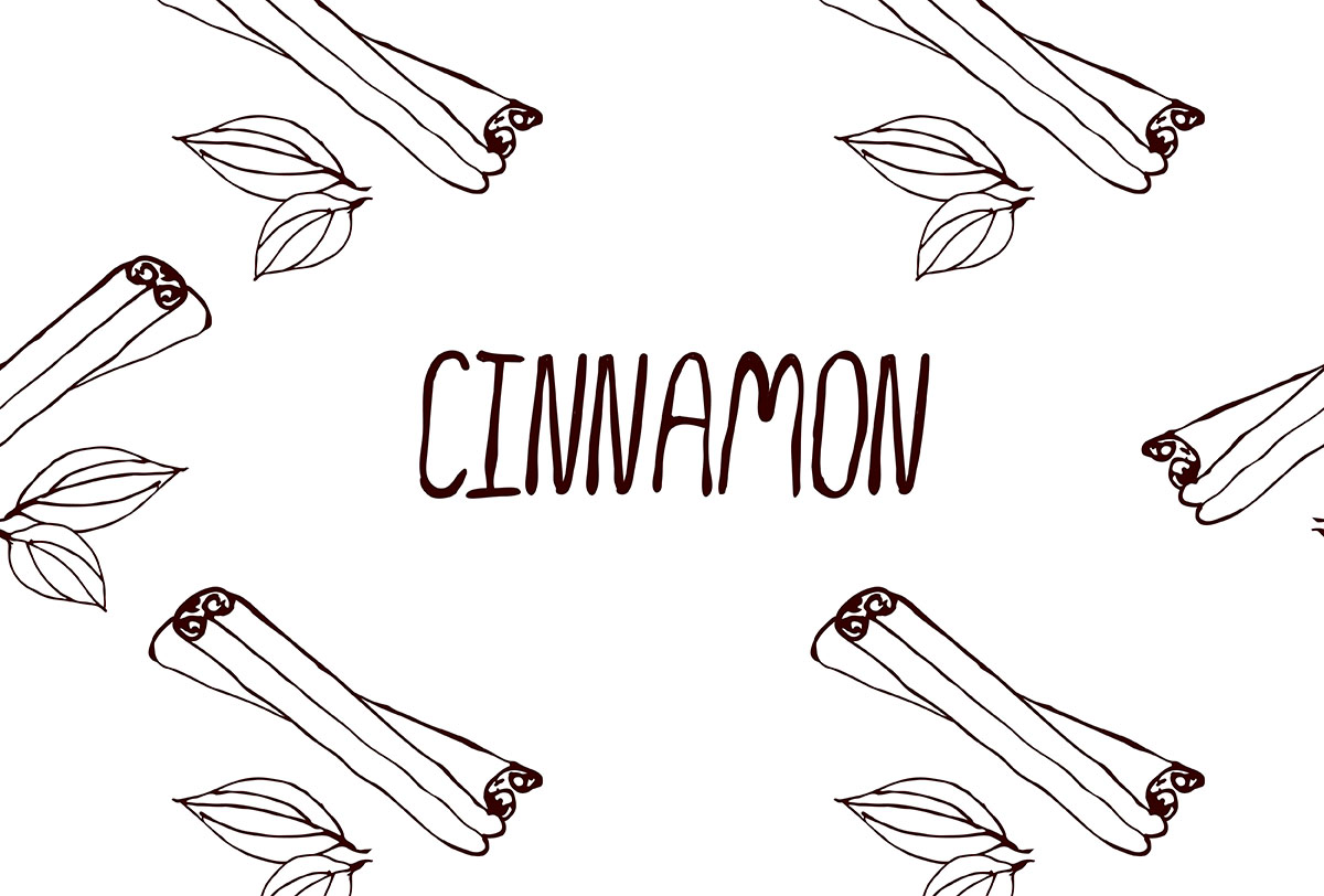 Spices & Herbs: Cinnamon ~ Patterns on Creative Market