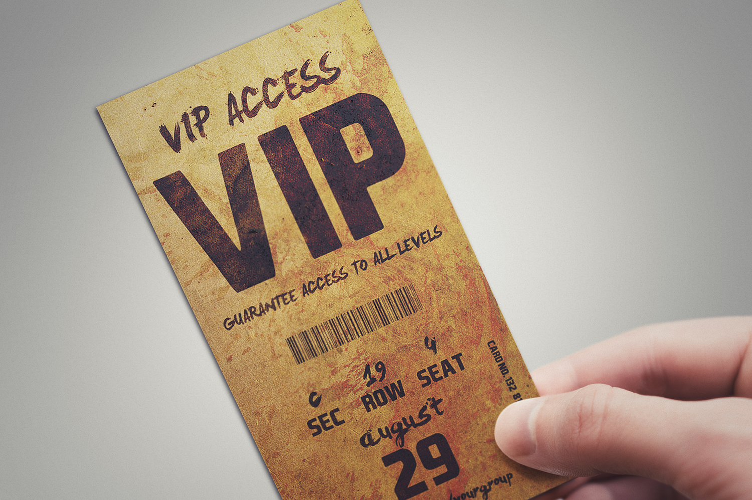 Stylish VIP PASS card ~ Card Templates on Creative Market