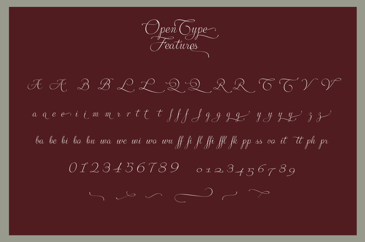Digatte Quill ~ Script Fonts on Creative Market
