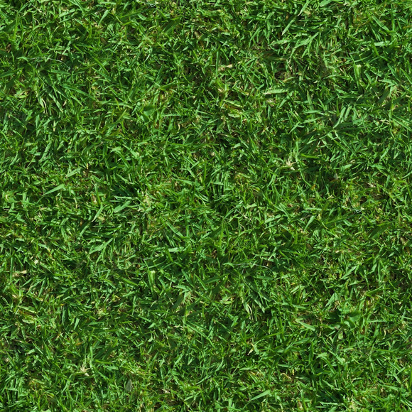 Lush Seamless Grass Texture ~ Textures on Creative Market