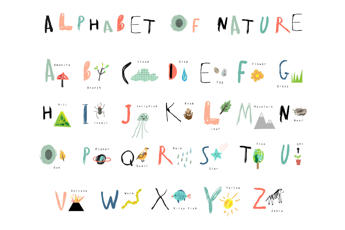 Alphabet of Nature ~ Illustrations on Creative Market
