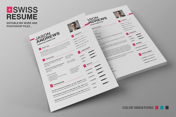 Swiss Resume CV ~ Resume Templates on Creative Market