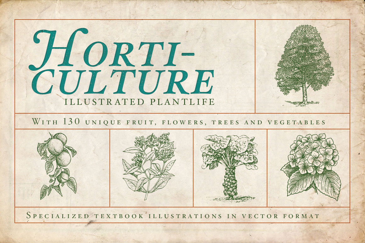 Horticulture - 130 plant vectors ~ Illustrations on Creative Market