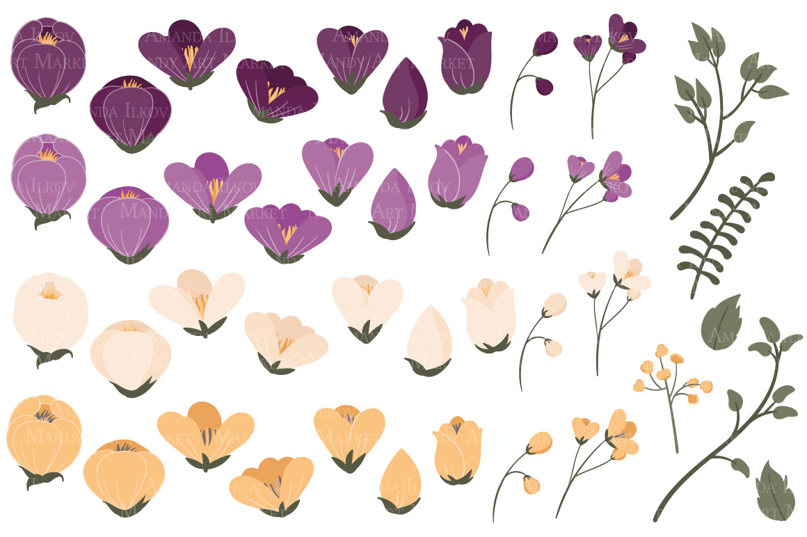 Plum Floral Clipart & Vectors ~ Illustrations on Creative Market