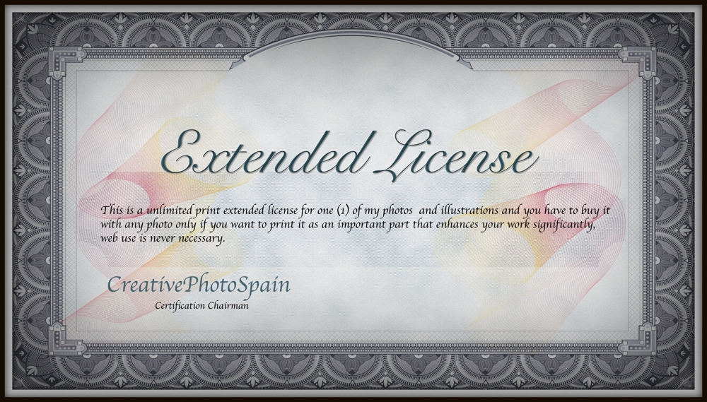 EXTENDED LICENSE-------- ~ Illustrations on Creative Market