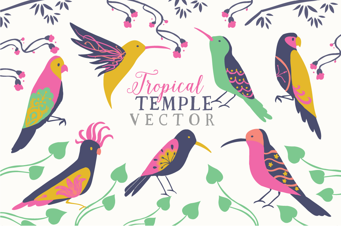 Tropical Birds Vector Clip Art Set ~ Illustrations on Creative Market