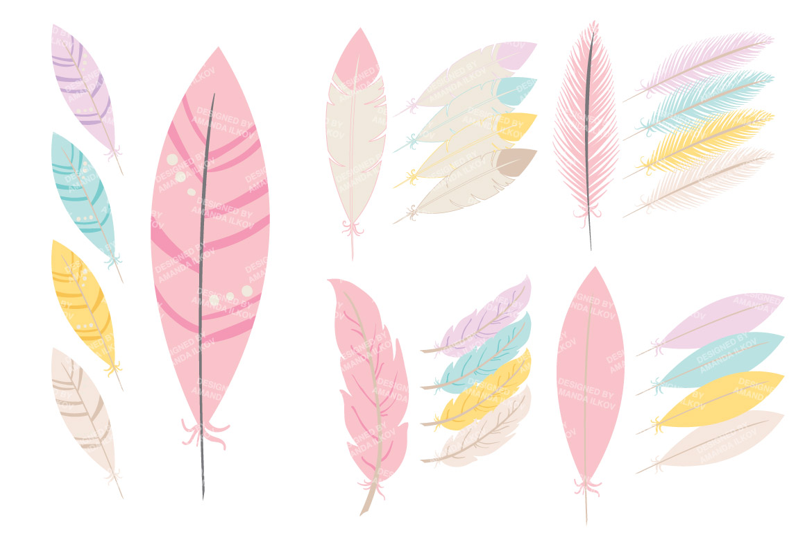 Pink Feathers Clipart & Vectors ~ Illustrations on Creative Market
