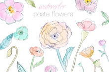 Prairie Flowers Clip Art ~ Illustrations on Creative Market
